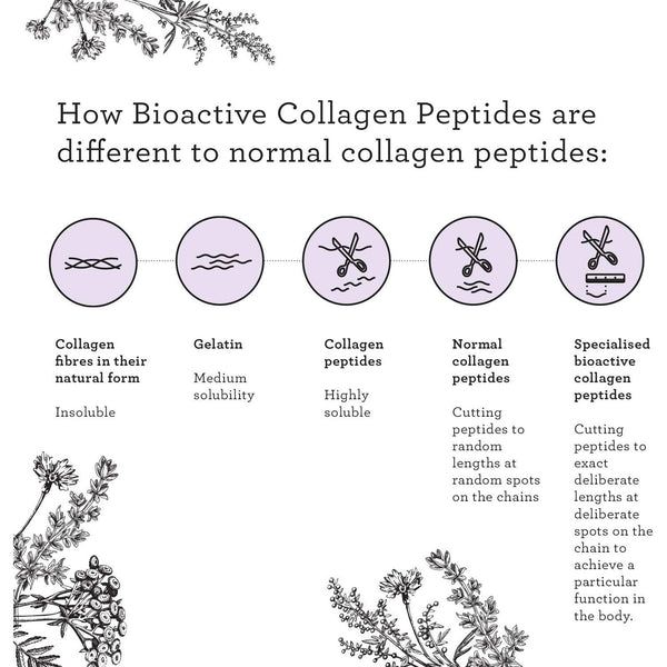 Buy Nutra Organics Collagen Body with Bioactive Collagen Peptides ...