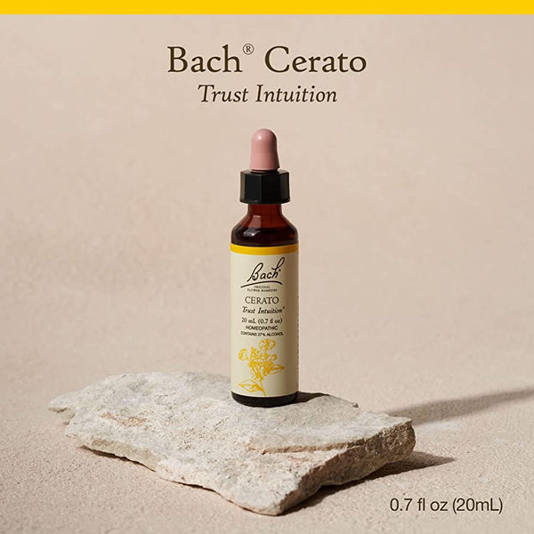 Buy Bach Flower Remedies Cerato 20ml Online at Cutpricepharmacy ...