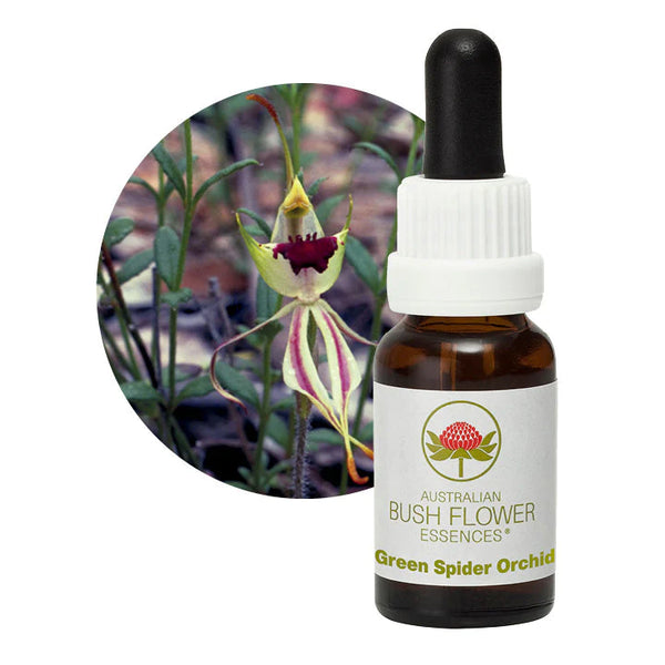 Buy Australian Bush Flower Essences Green Spider Orchid 15ml Online at ...