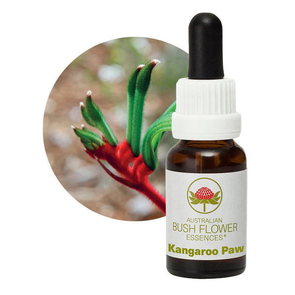 Buy Australian Bush Flower Essences Kangaroo Paw 15ml Online at ...