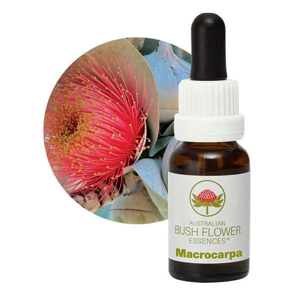 Buy Australian Bush Flower Essences Macrocarpa 15ml Online at ...