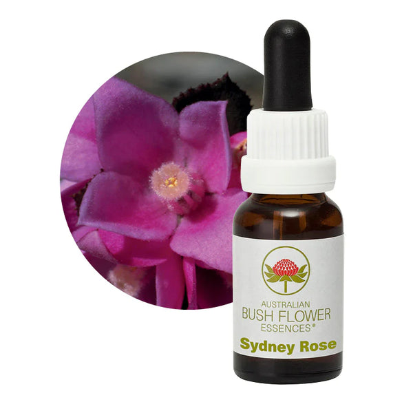 Buy Australian Bush Flower Essences Sydney Rose 15ml Online at ...